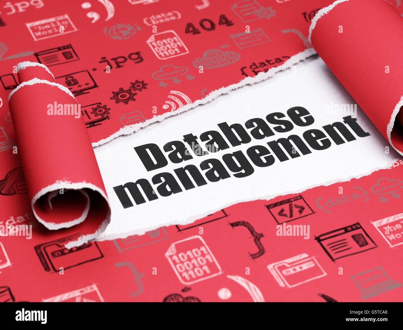 Programming concept: black text Database Management under the piece of ...