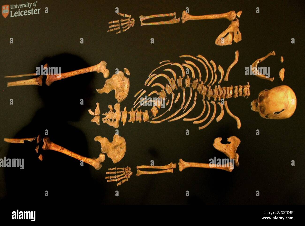 Skeleton of king richard iii hi-res stock photography and images - Alamy