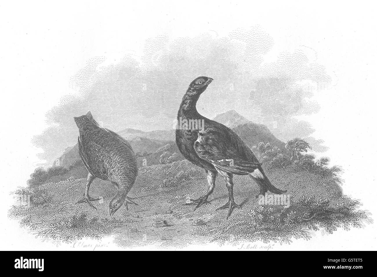 Overall size Black and White Stock Photos & Images - Alamy