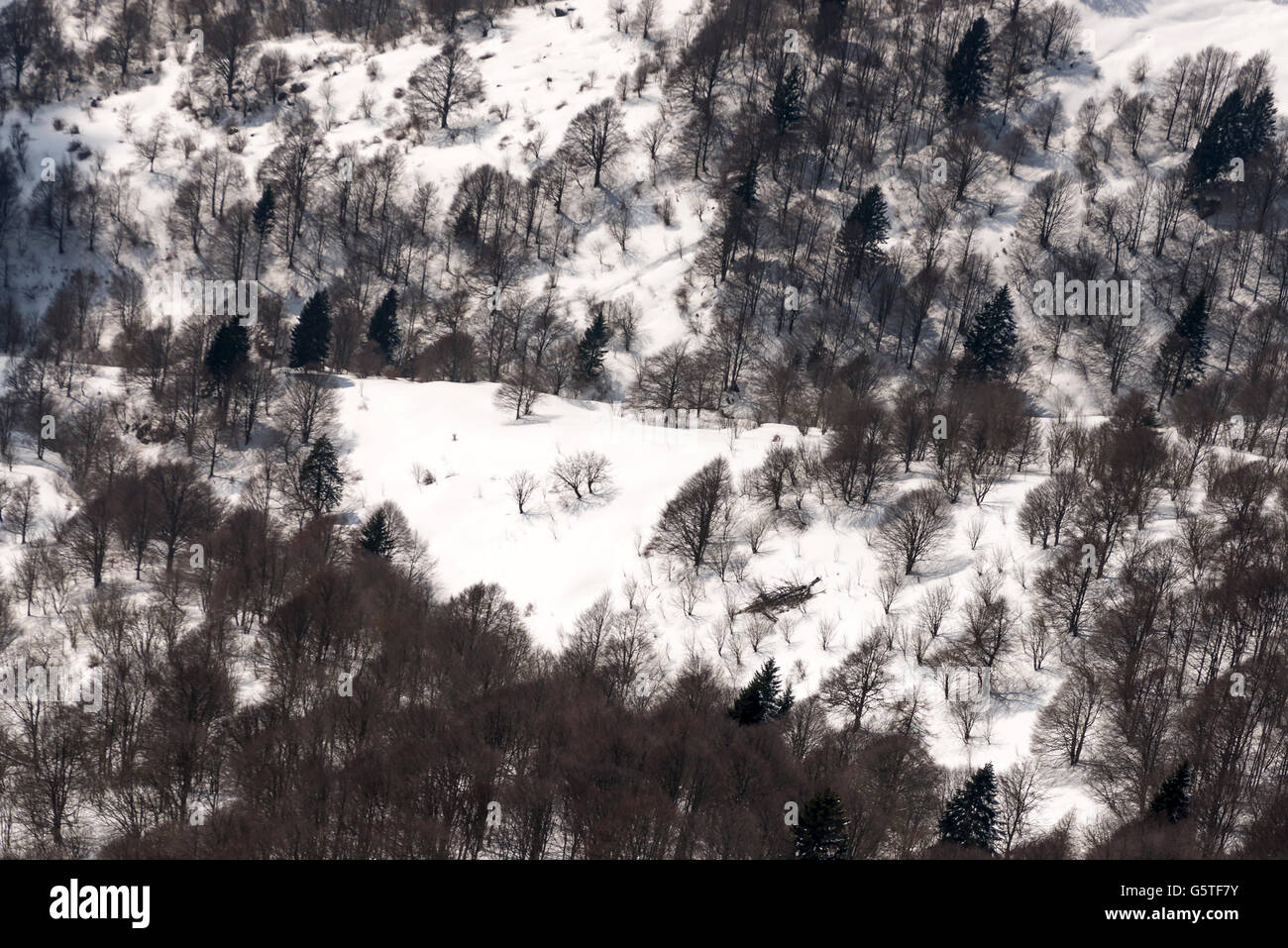 Aerial trees snow hi-res stock photography and images - Alamy