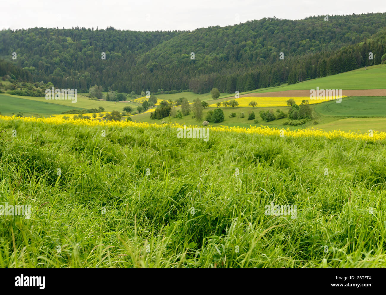 Grass country hi-res stock photography and images - Alamy