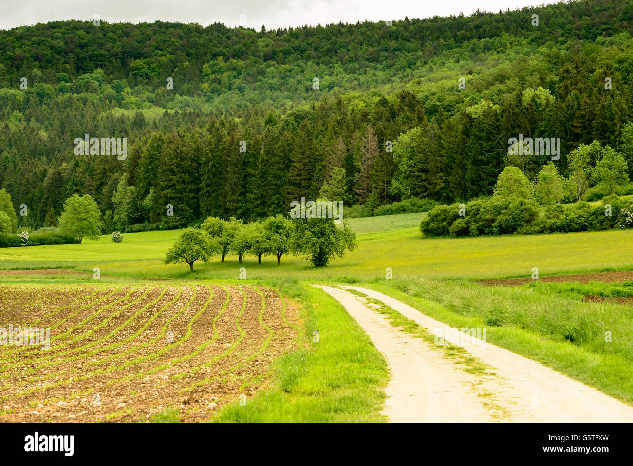 Meadows and woods in hilly landscape hi-res stock photography and ...