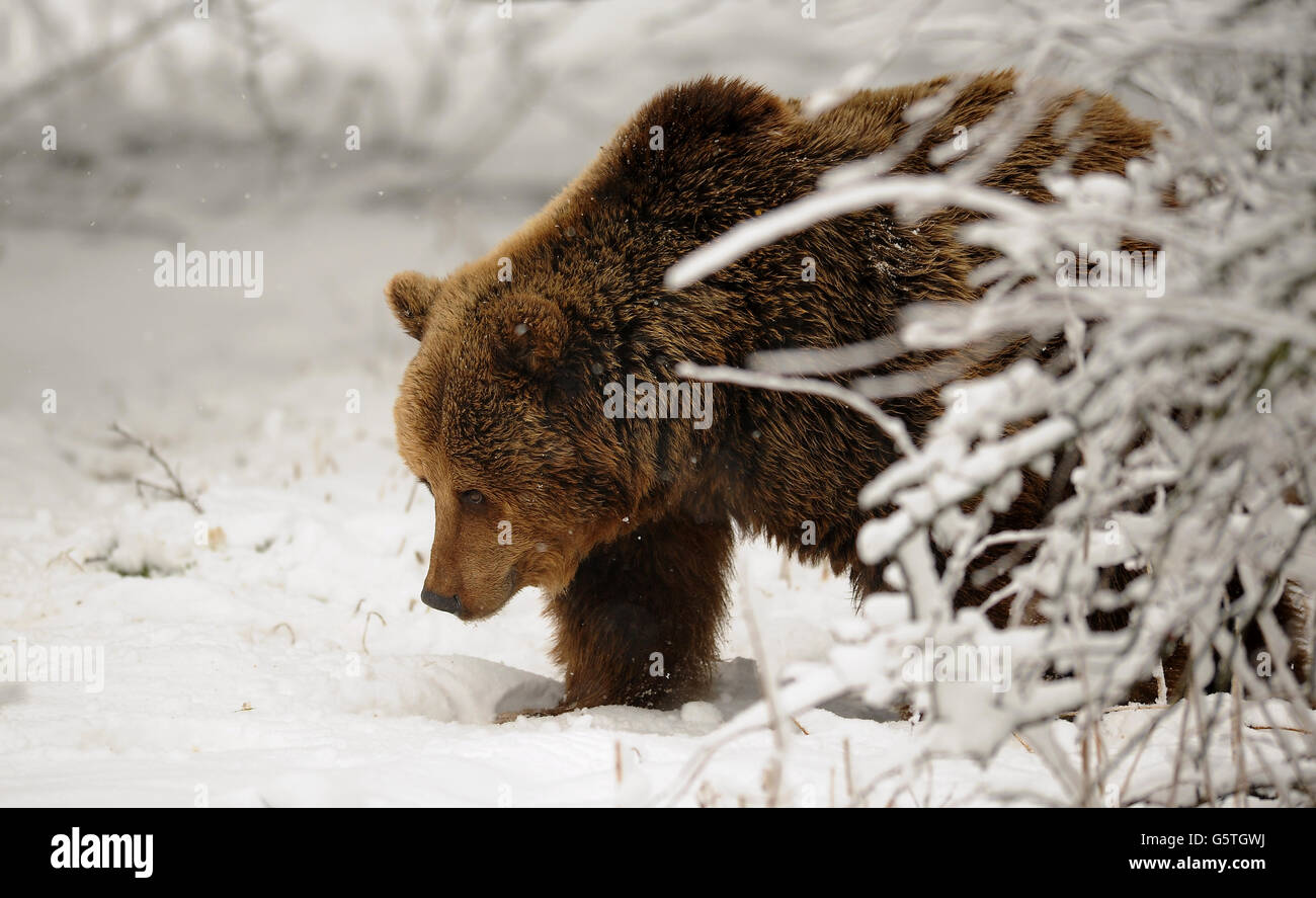 Winter weather Feb 11th Stock Photo - Alamy