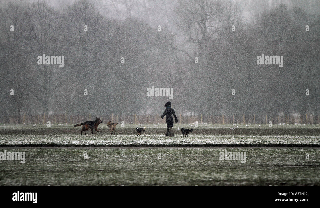 Winter weather Feb 11th Stock Photo - Alamy