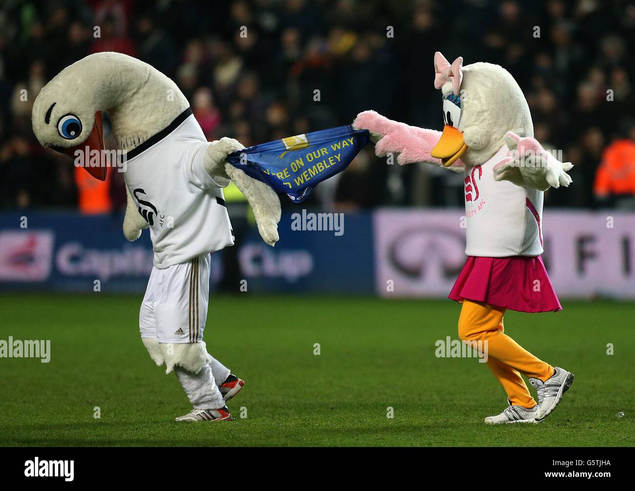 Cybil the swan hi-res stock photography and images - Alamy