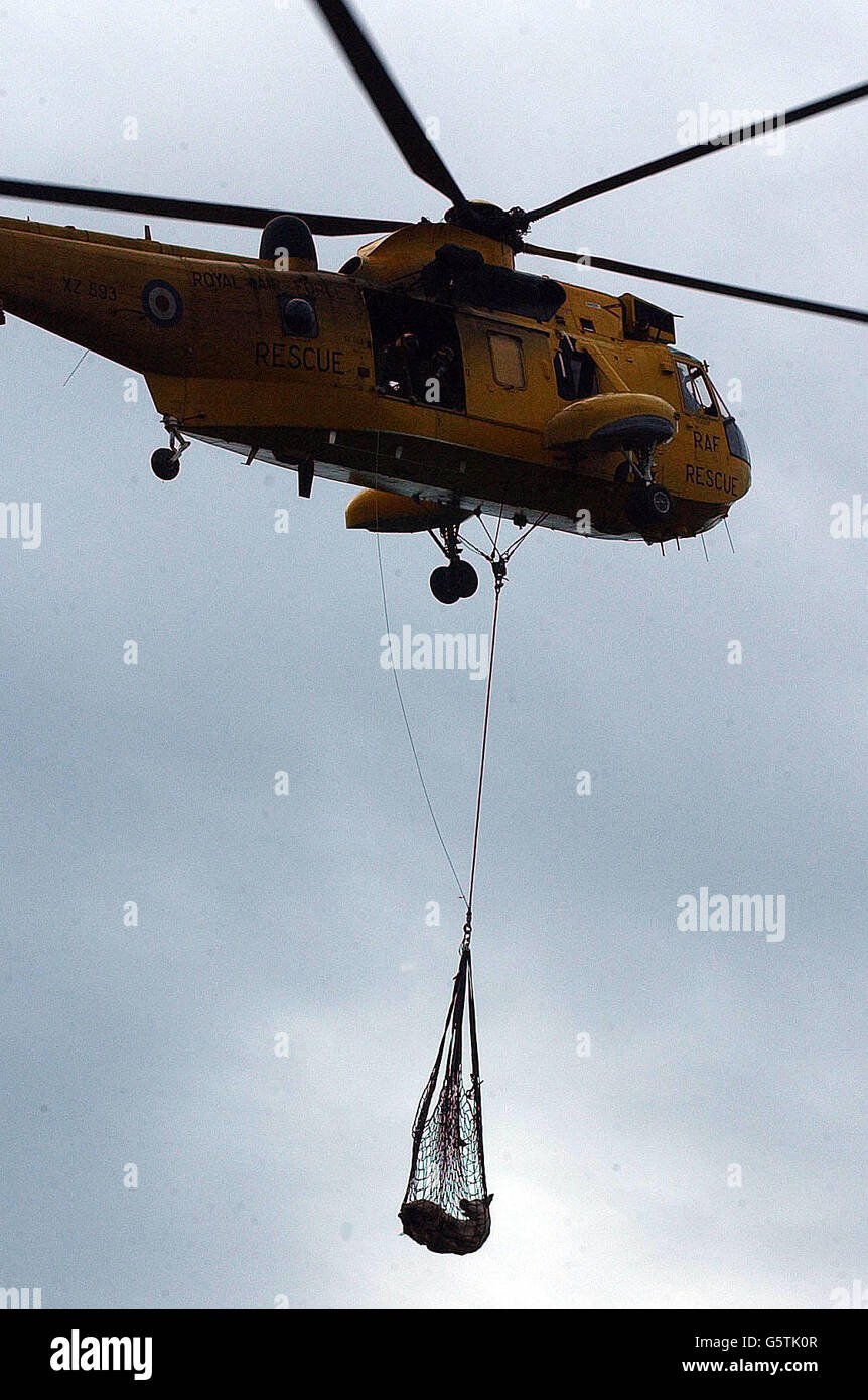Cow rescue yellow helicopter hi-res stock photography and images - Alamy