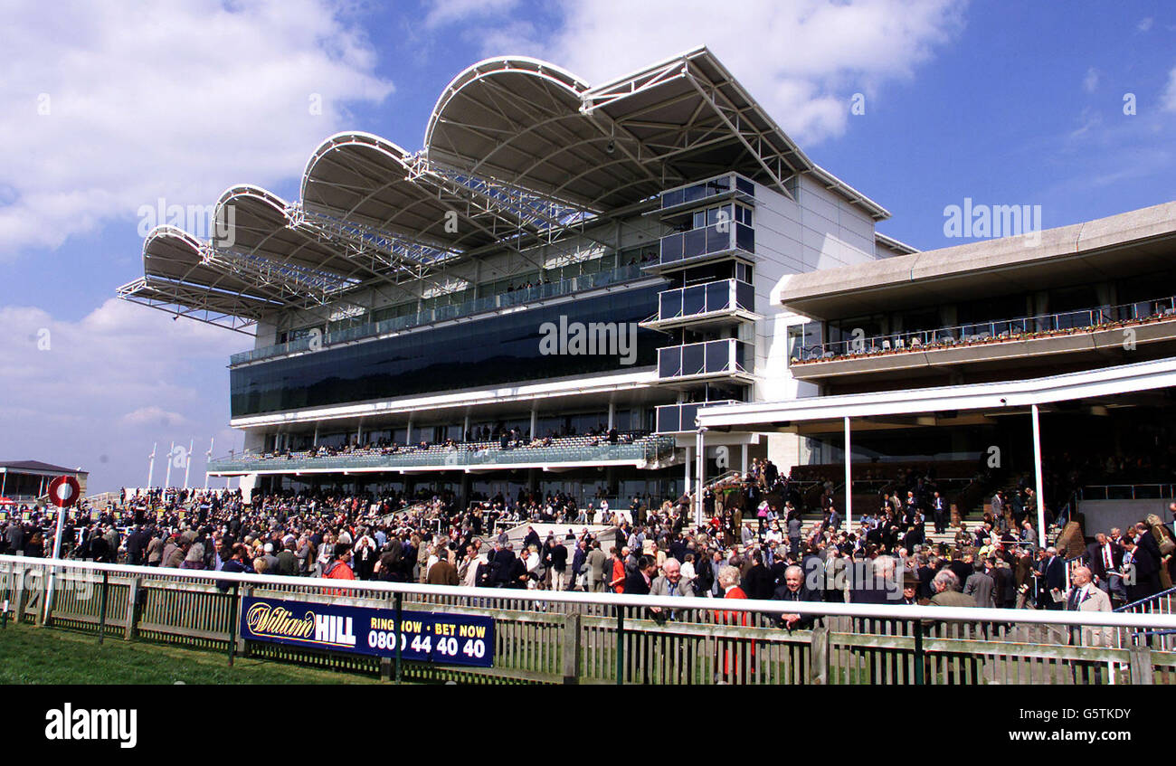 The Millennium Stand at The Rowley Mile Racecourse Newmarket Stock ...