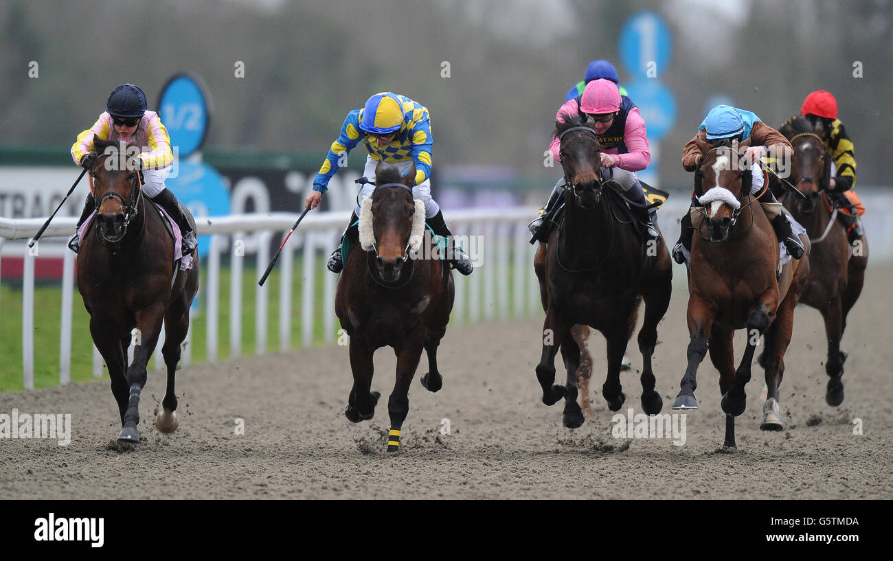 Horse Racing - Kempton Park Racecourse Stock Photo - Alamy
