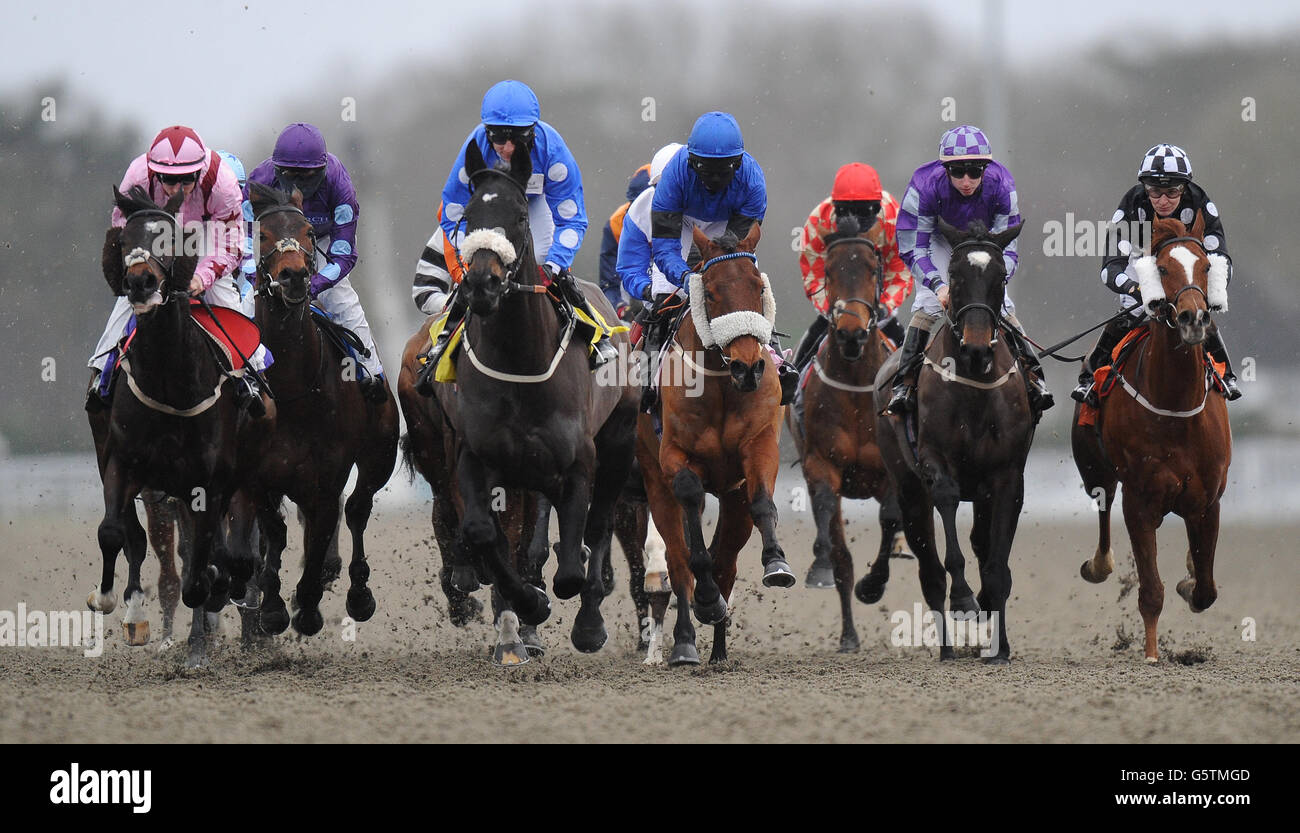 Runners in The Come Dine In The Panoramic Restaurant Handicap (Div 1 ...