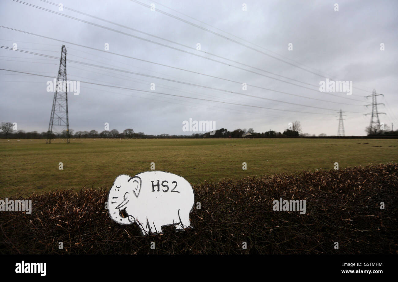 A cardboard white elephant placed in a hedge in Bucklow Hill, Cheshire ...