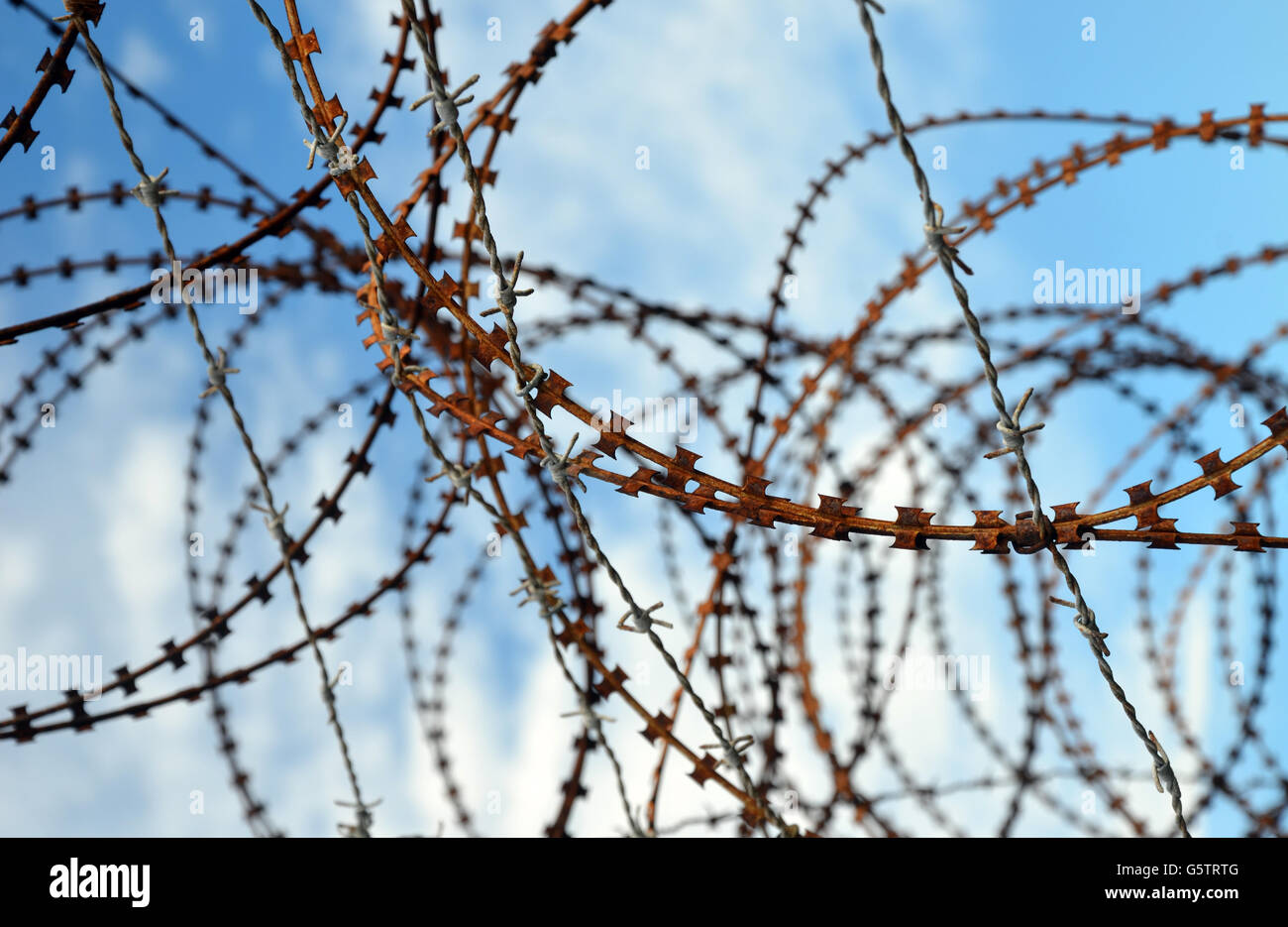 Tangled barbed wire fence with sky background Stock Photo - Alamy