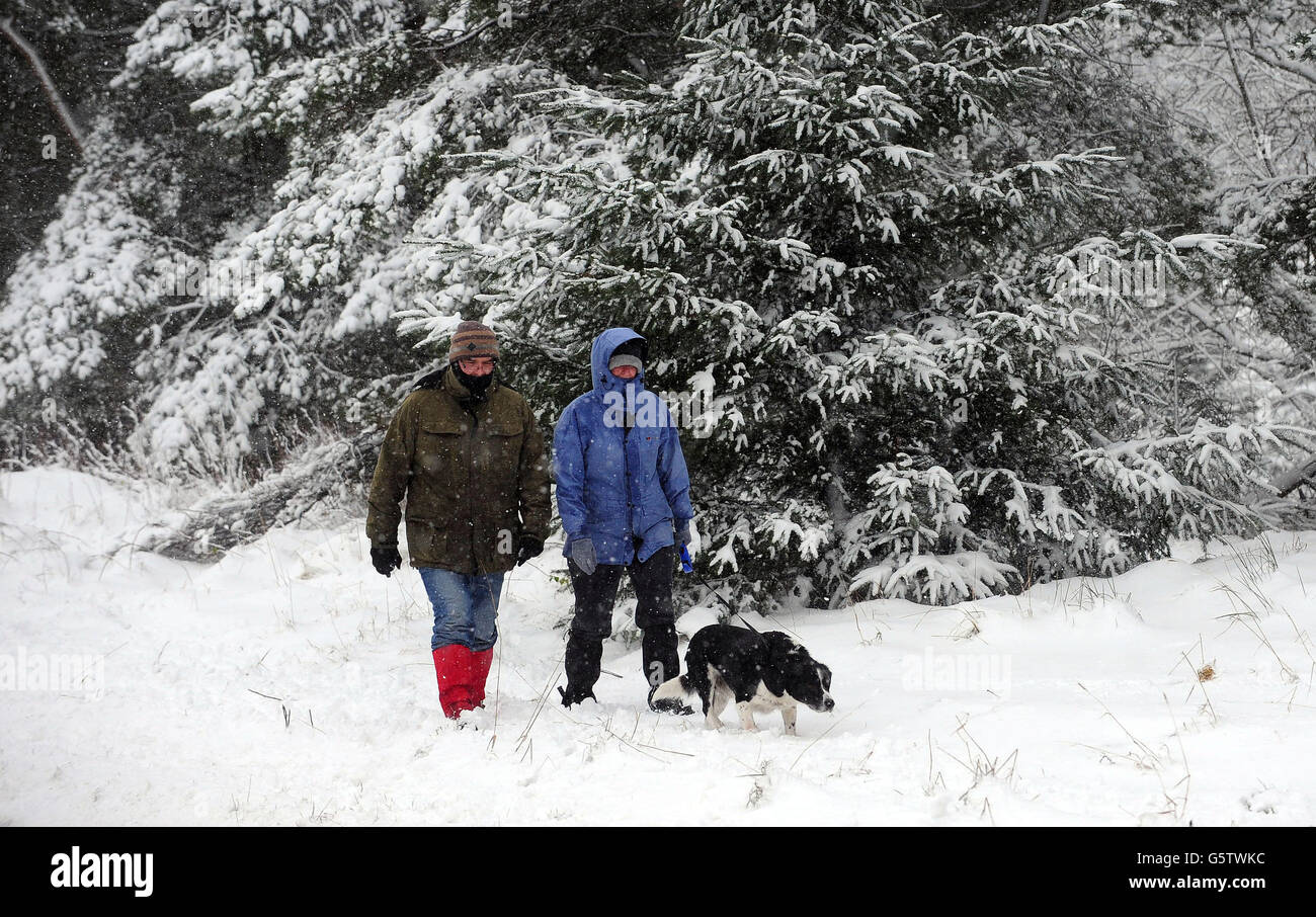 Dog walkers walk in fresh snow in Kielder, Northumberland, as parts of ...
