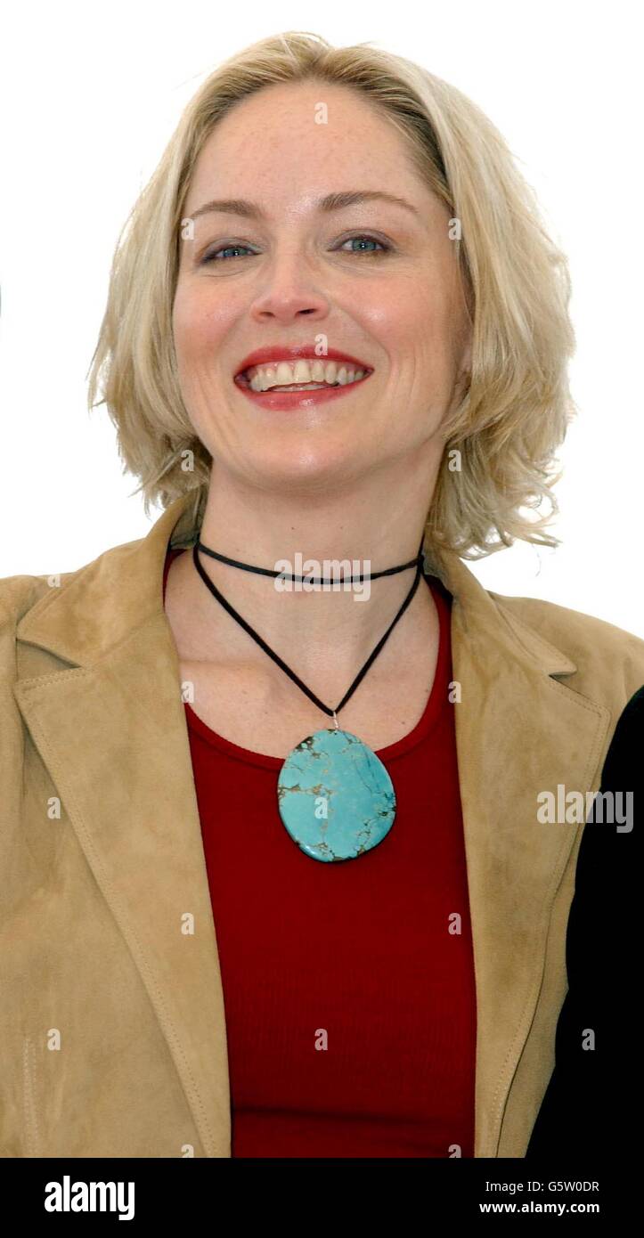 Stone Cannes Film Festival Stock Photo - Alamy