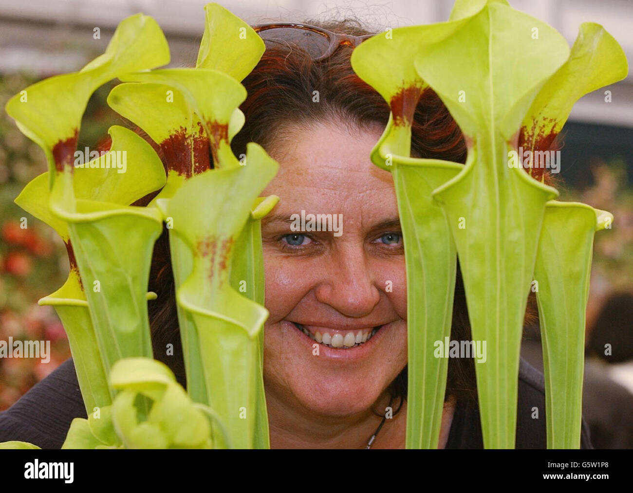 Jenny Pearce, of South West Carnivorous Plants, looks through some ...