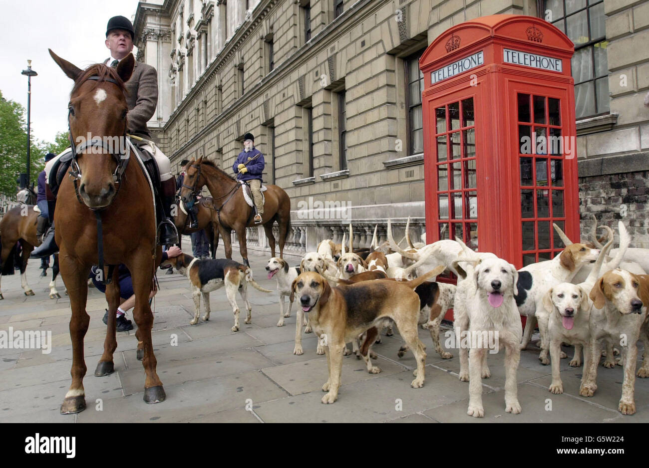 pro Hunting protest in London Stock Photo - Alamy