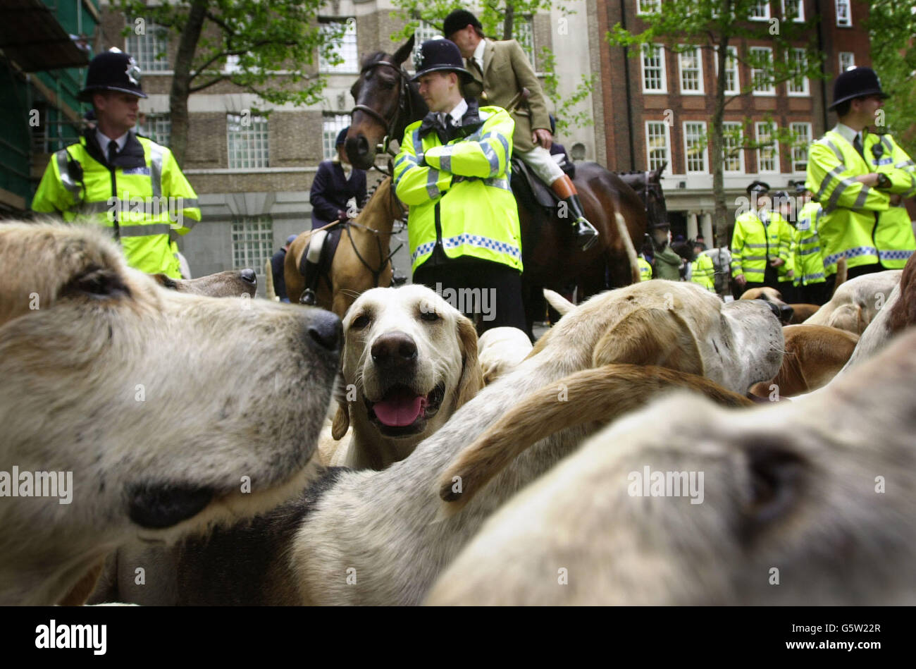 Pro Hunt protests in London Stock Photo - Alamy