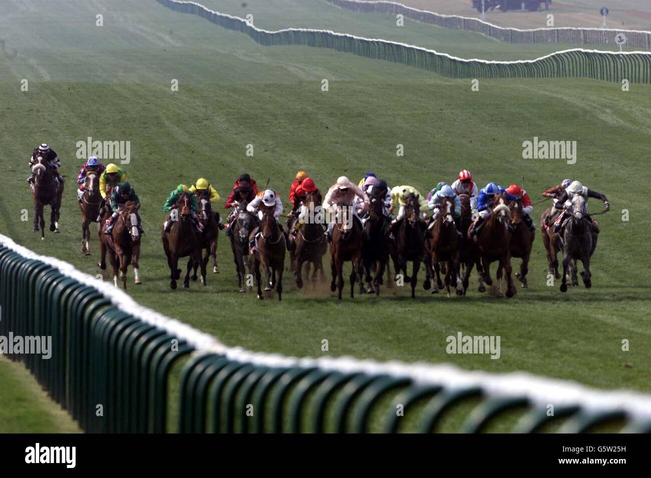 Newmarket races general pics Stock Photo - Alamy