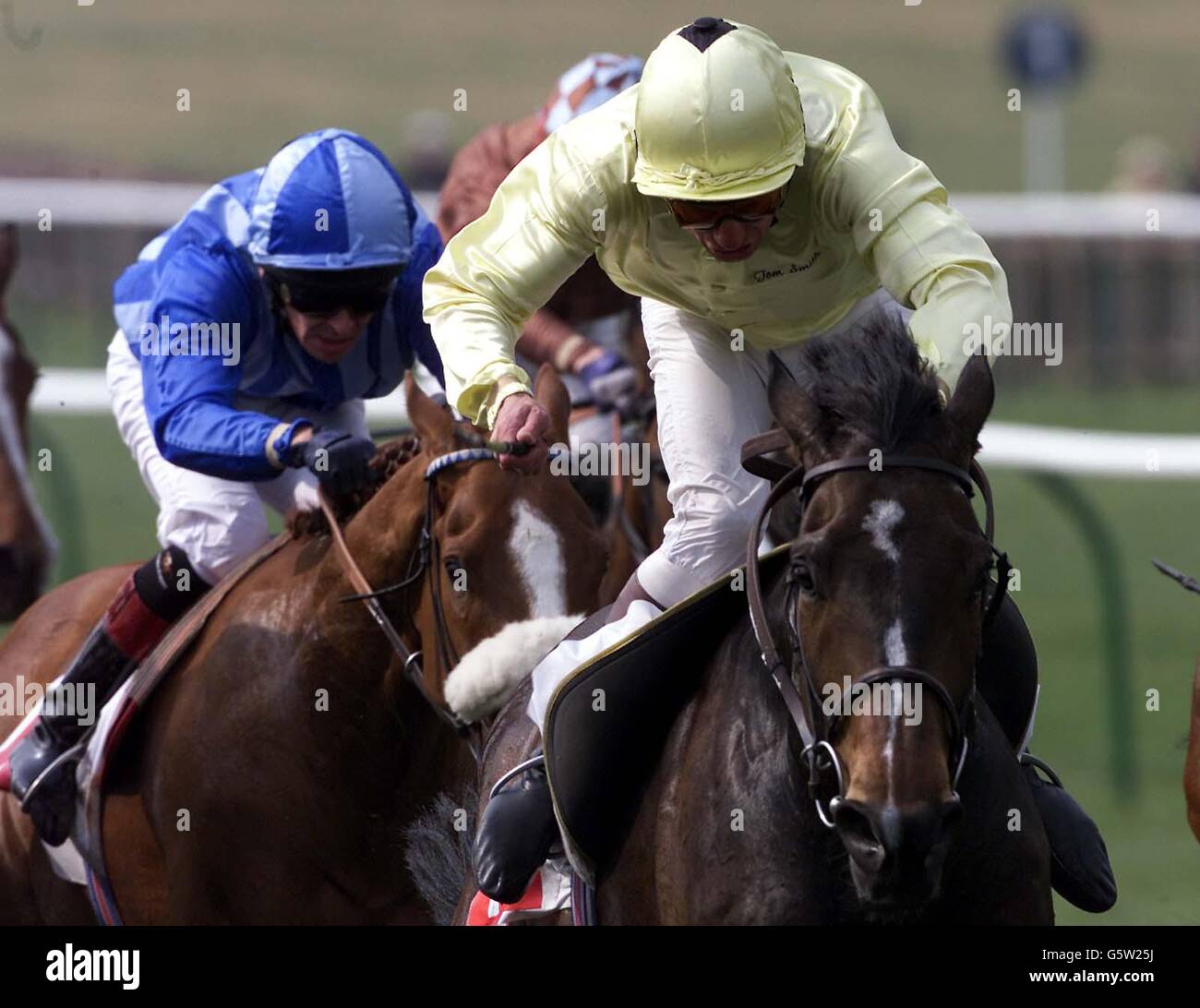 Newmarket Races, the Babraham Handicap, Establishment comes up the ...