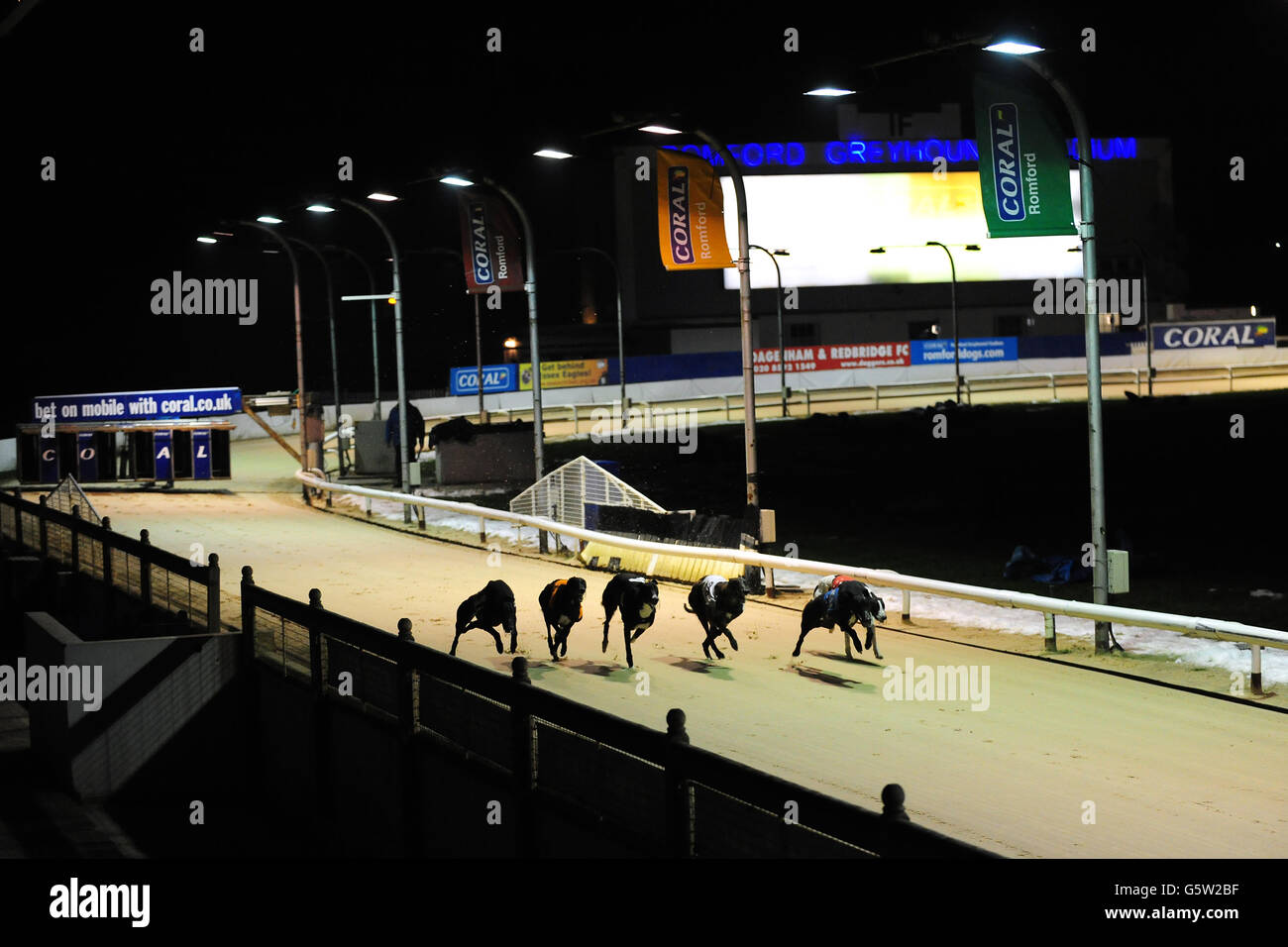 Greyhounds romford greyhound stadium hi-res stock photography and ...