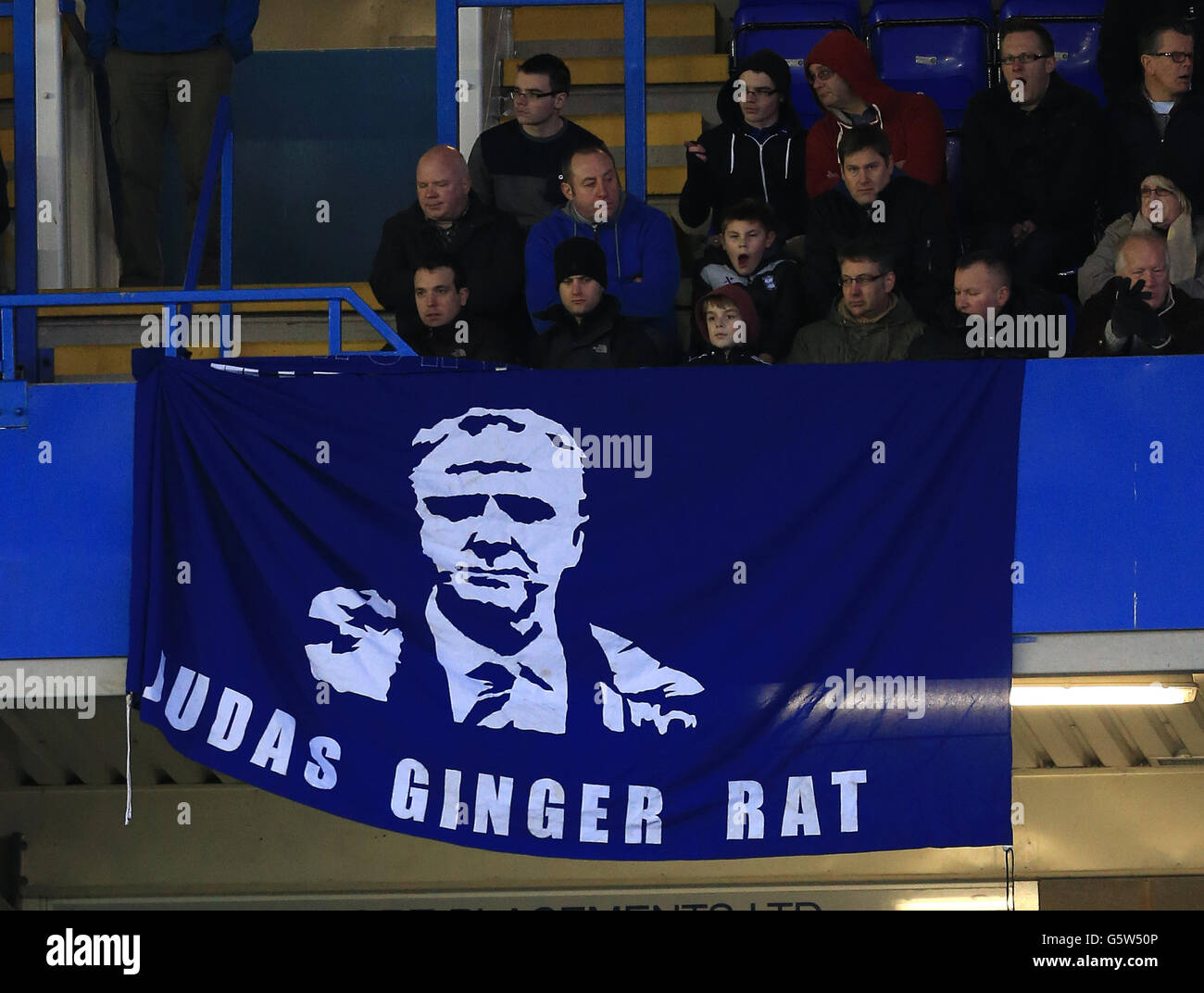 Judas ginger rat hi-res stock photography and images - Alamy