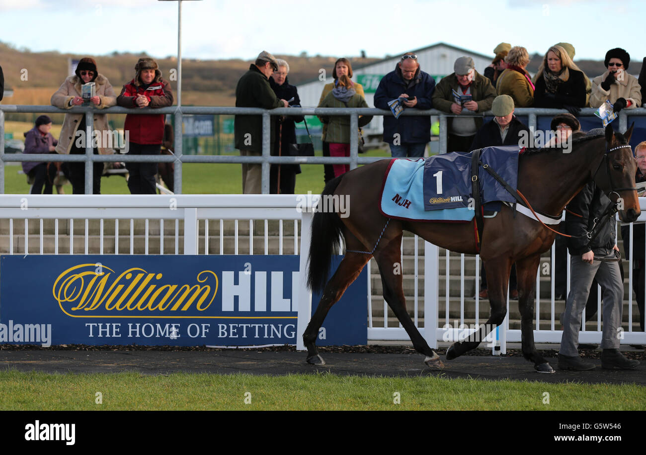 Horses parade around the ring before The William Hill Welsh Champion ...