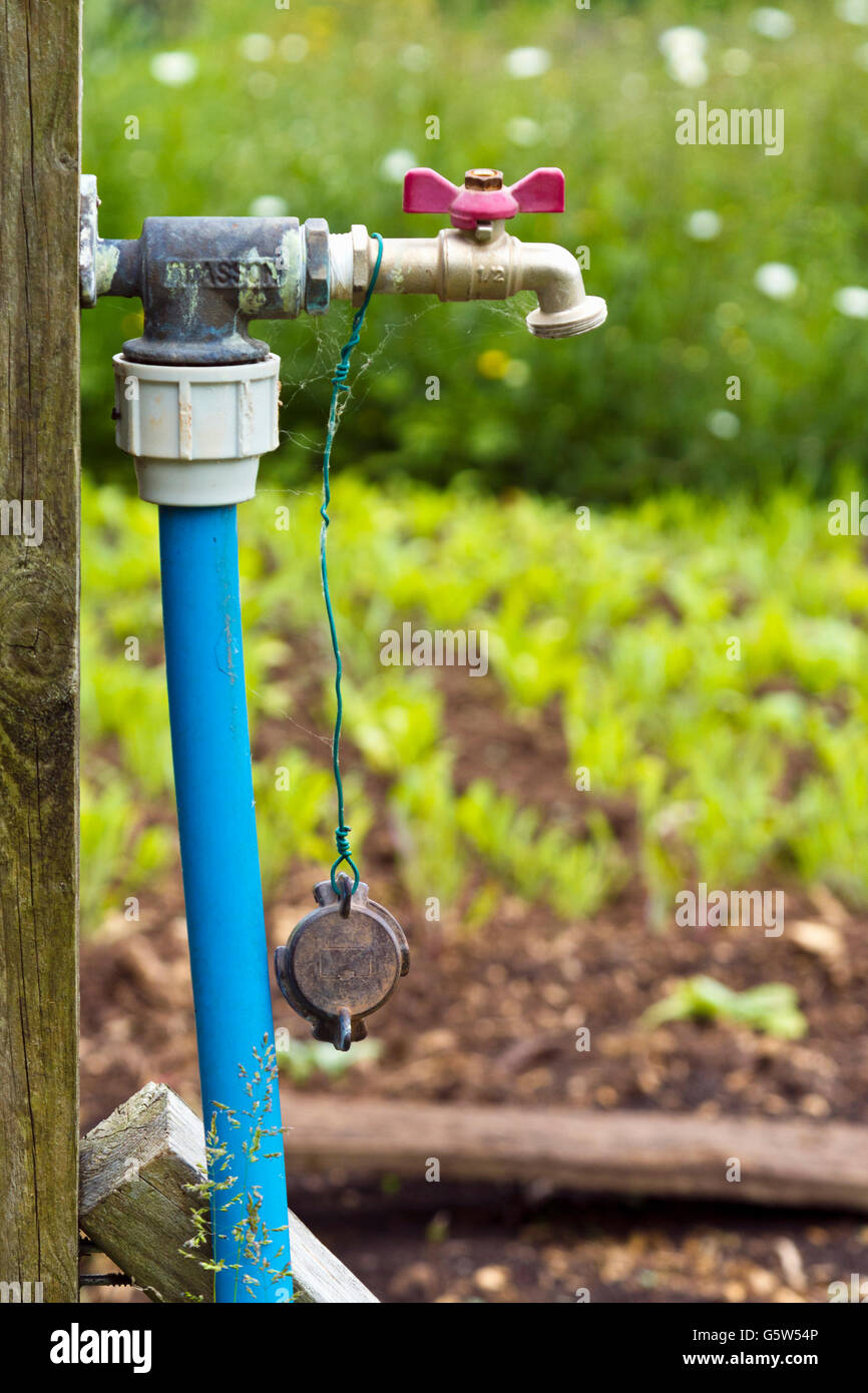 Outdoors garden tap hi-res stock photography and images - Alamy