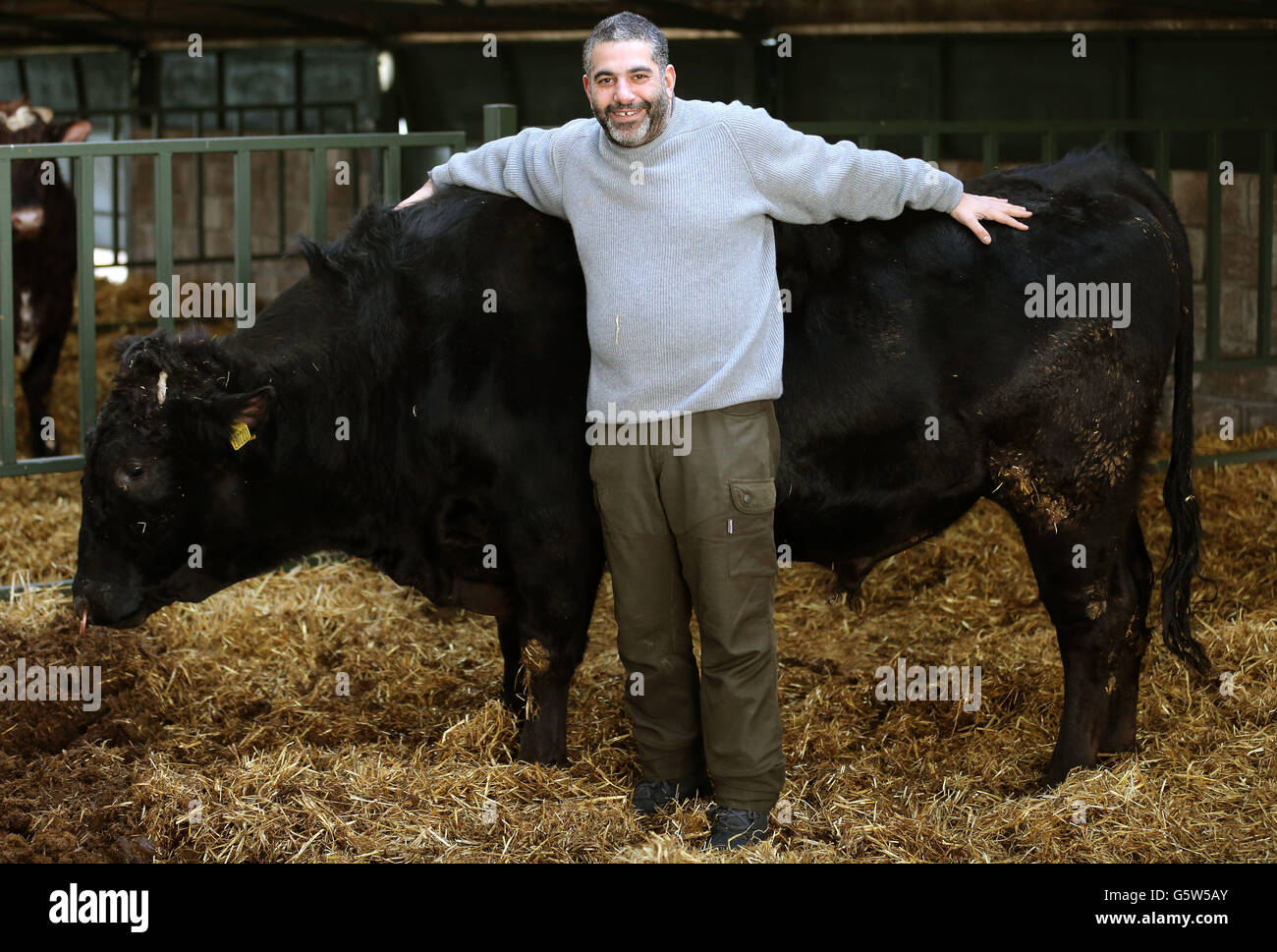 Farmer Moshin Al-Tajir with his pure pedigree Whagyu bull Thor, at his ...