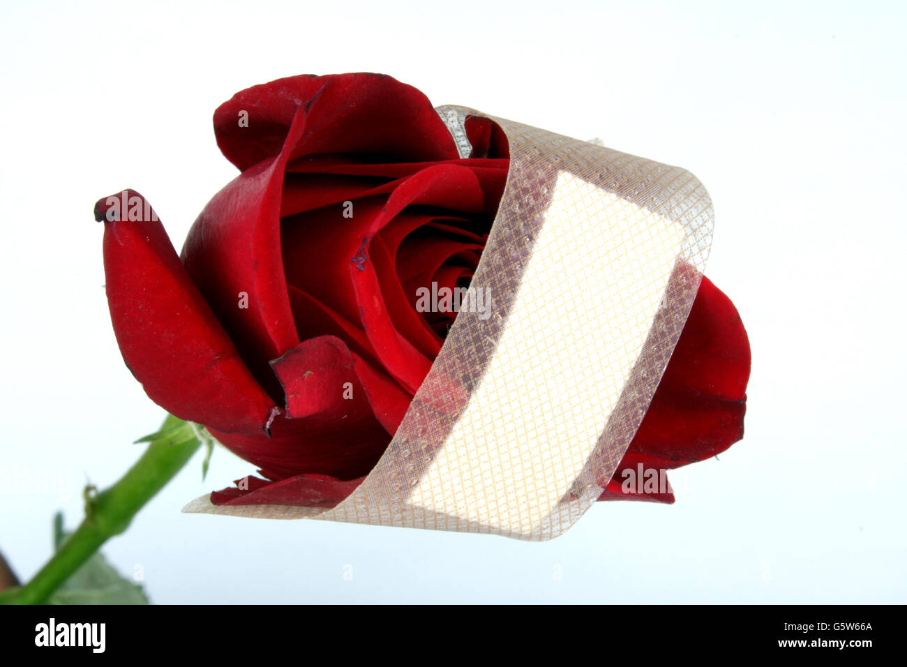 Wound and heal hi-res stock photography and images - Alamy