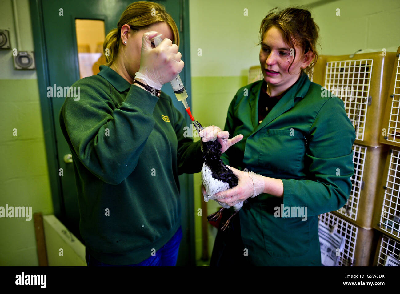 Rebecca hatch hi-res stock photography and images - Alamy