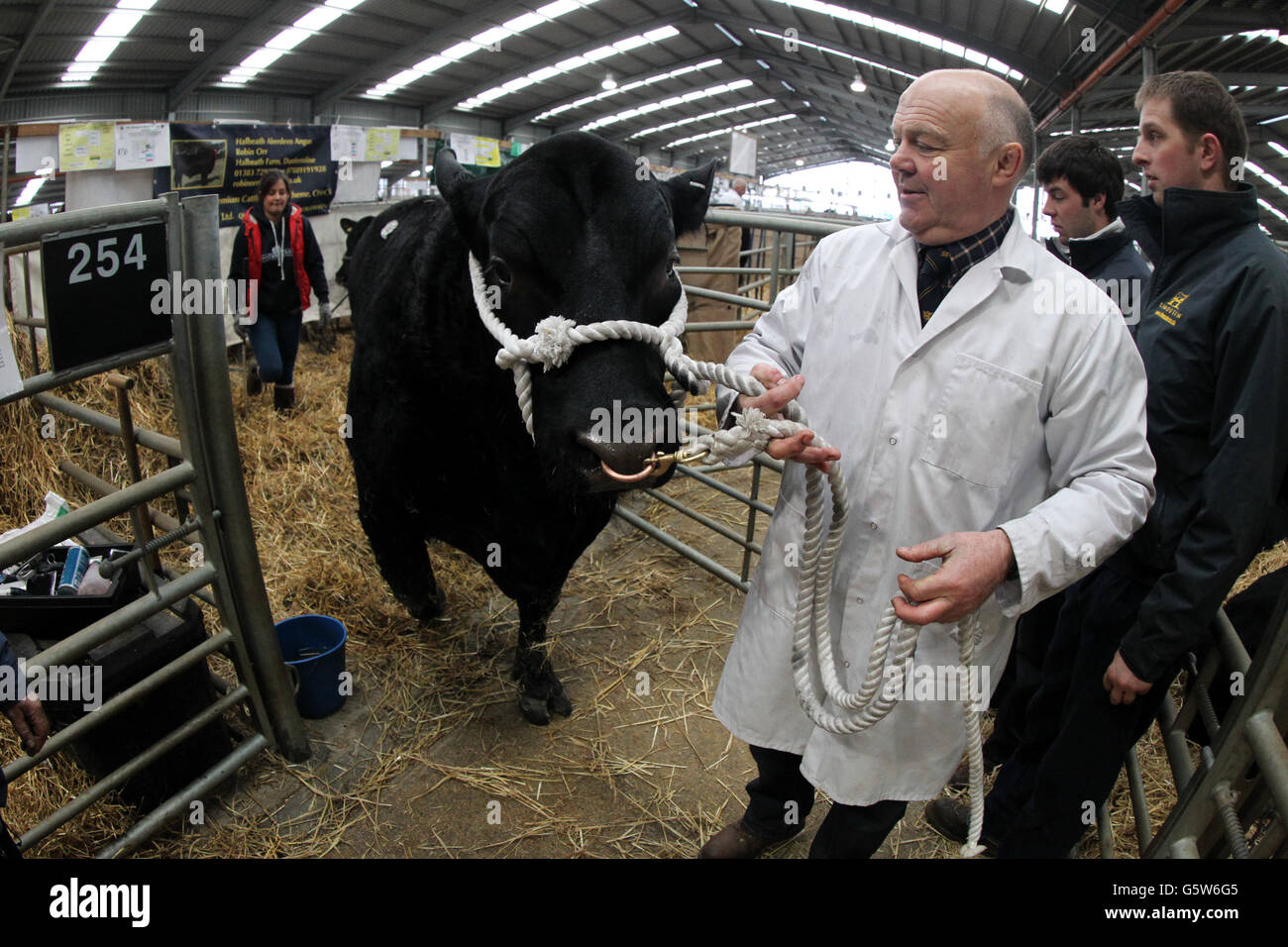 Robin orr hi-res stock photography and images - Alamy