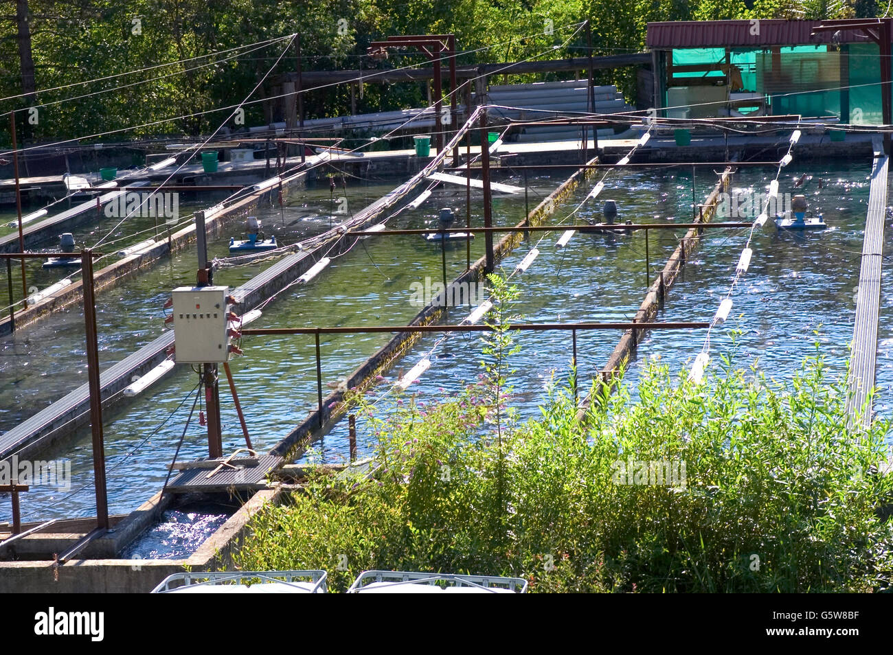 Treatment Plant Waste Water with settling ponds Stock Photo - Alamy