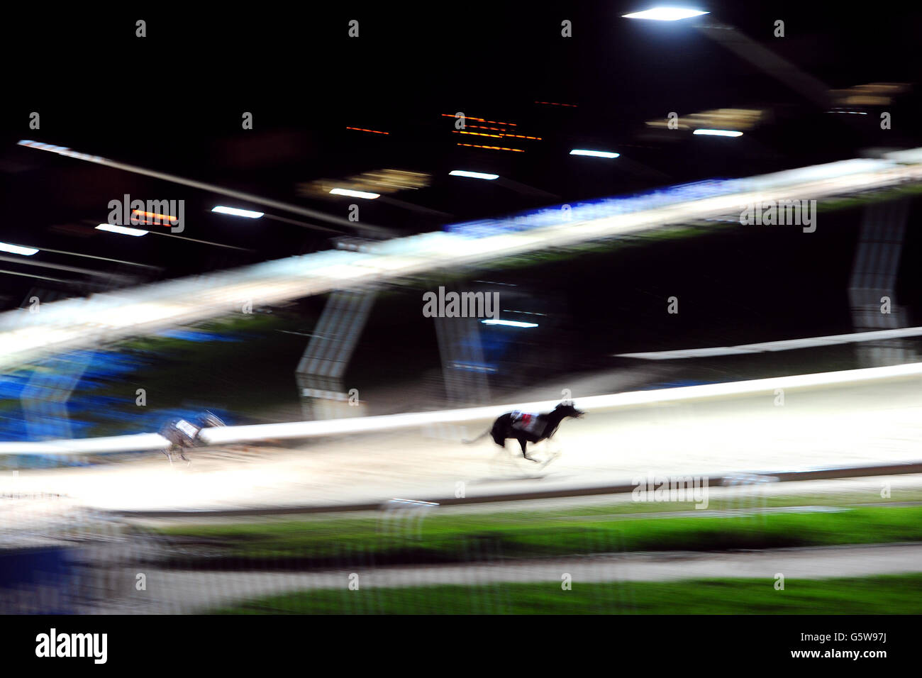 Hove greyhound stadium hi-res stock photography and images - Alamy