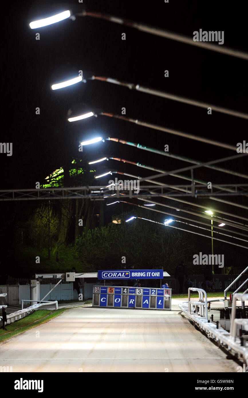 Greyhound stadium general view hi-res stock photography and images - Alamy