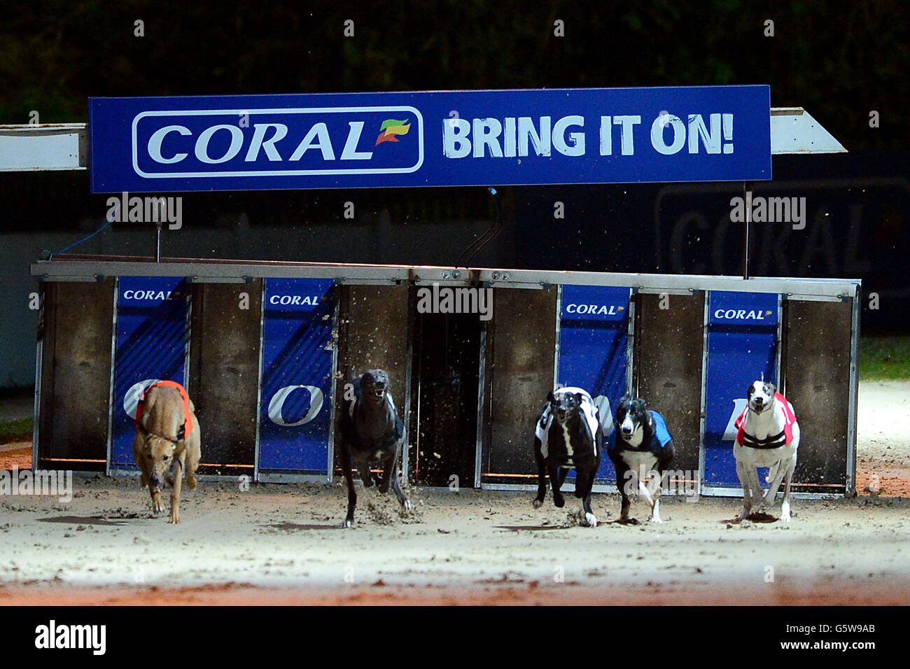 Greyhounds - Brighton & Hove Greyhound Stadium. Dogs leave the trap at ...