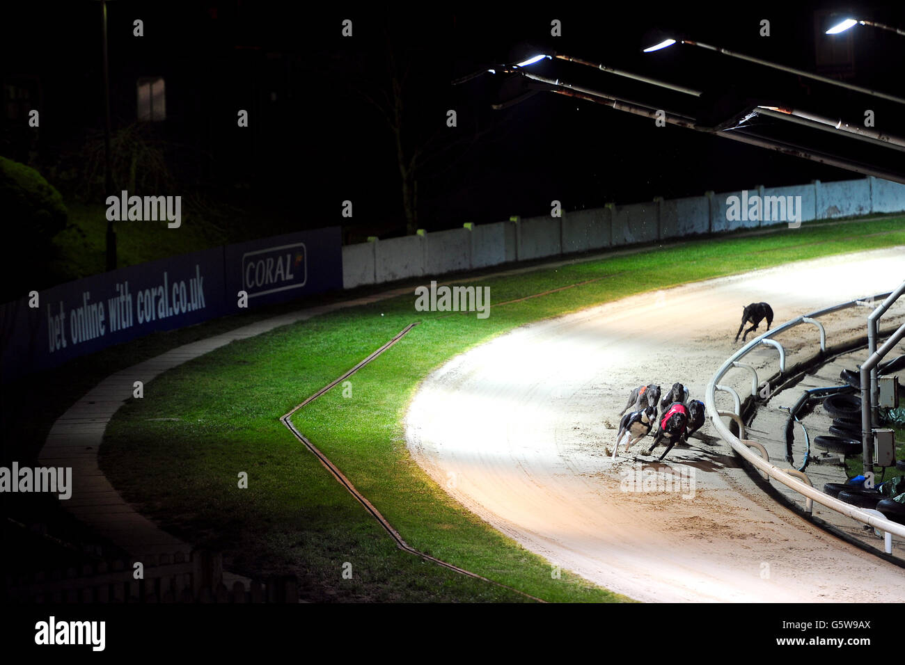 Greyhound racing coral brighton and hove greyhound stadium hi-res stock ...