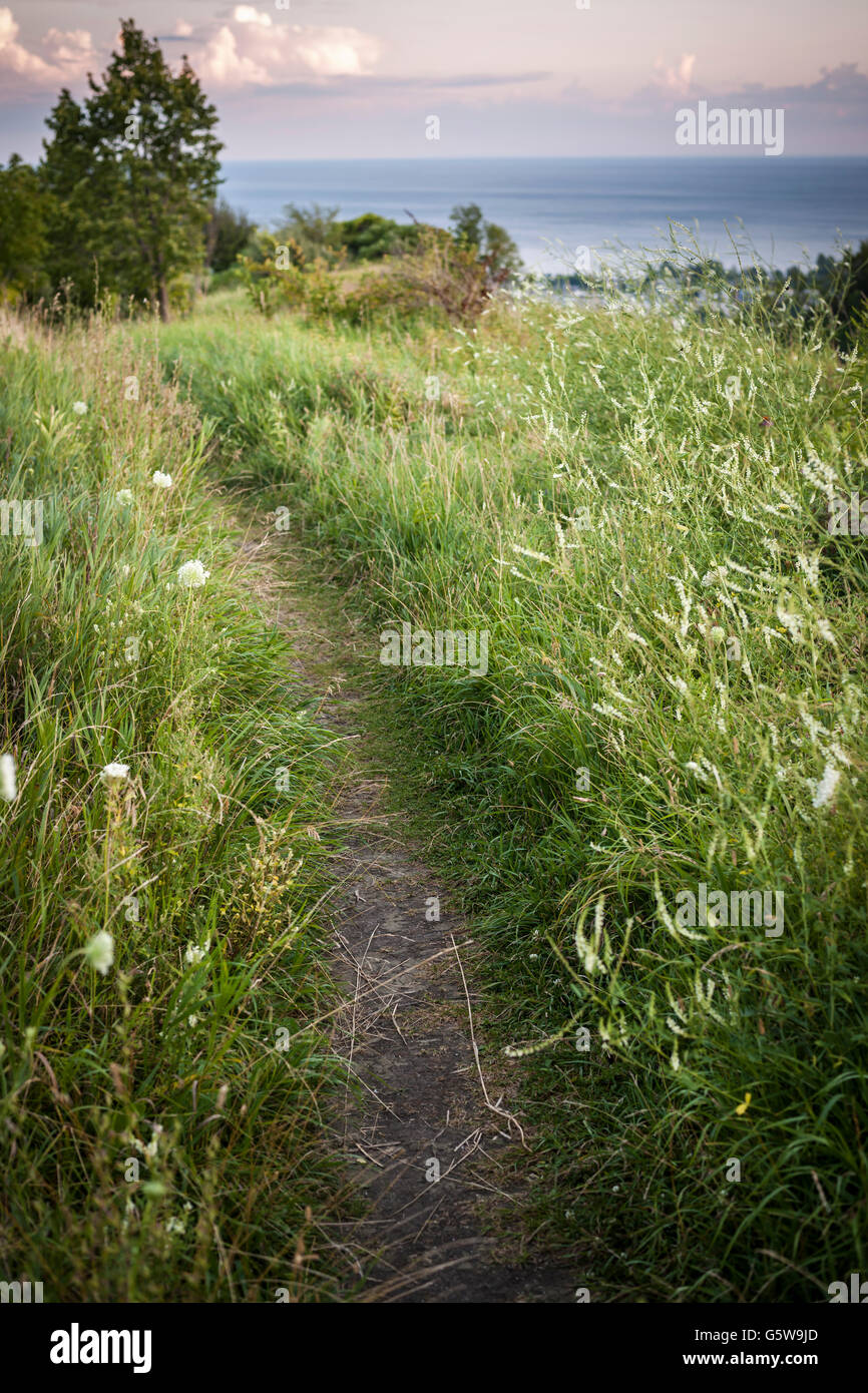 Footpath in grassy meadow along cliffs with view of big body of water ...