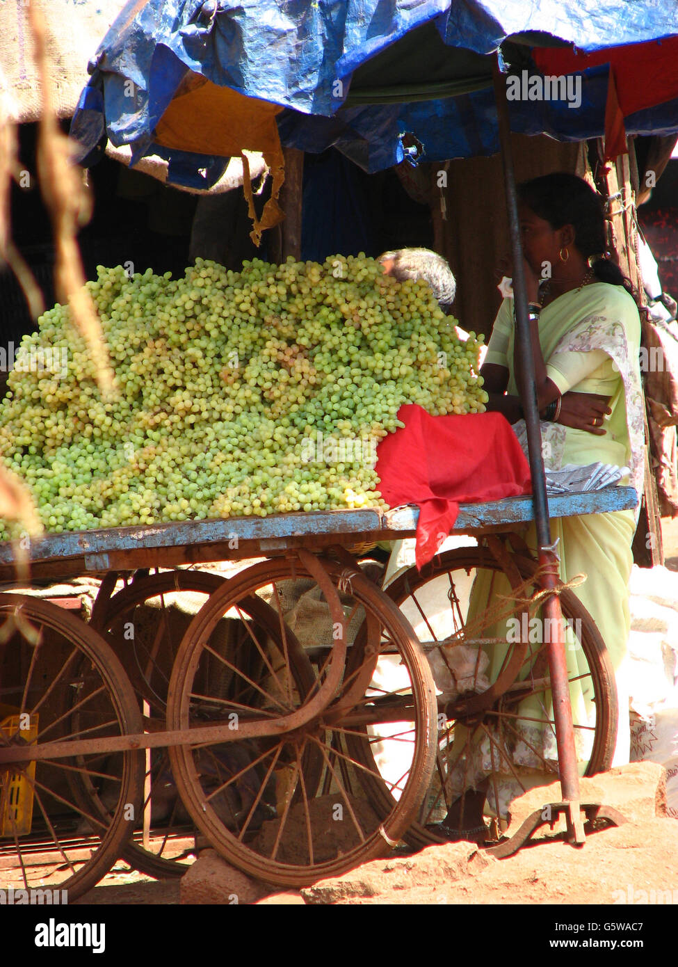 India grapes hi-res stock photography and images - Alamy