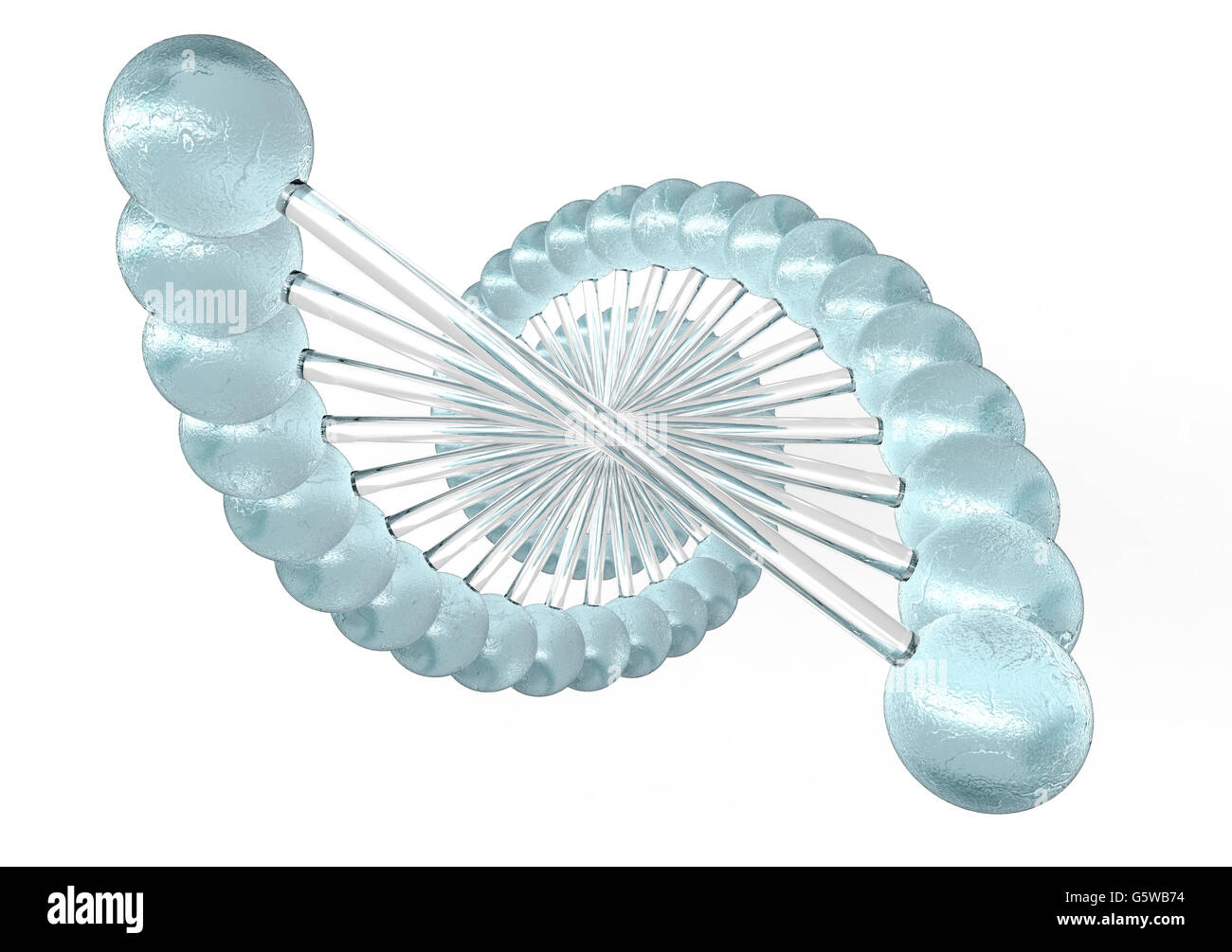 dubble helix dna structure isolated on white with clipping path, 3d ...