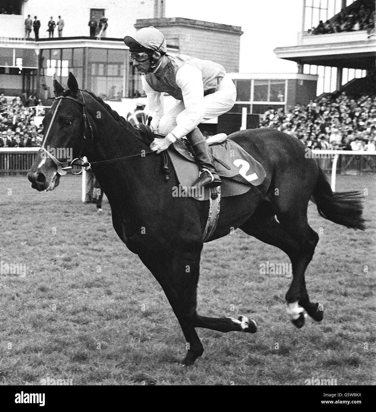 Dancing brave at newmarket hi-res stock photography and images - Alamy