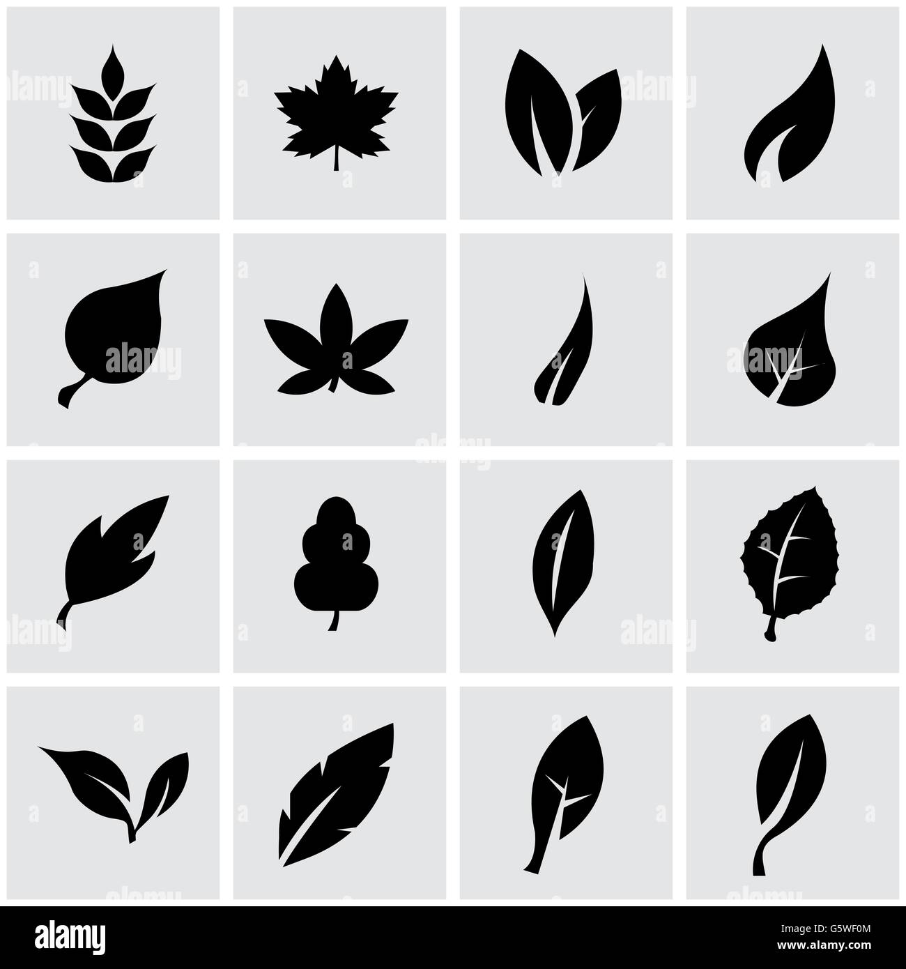 Vector black leaf icon set Stock Vector Image & Art - Alamy