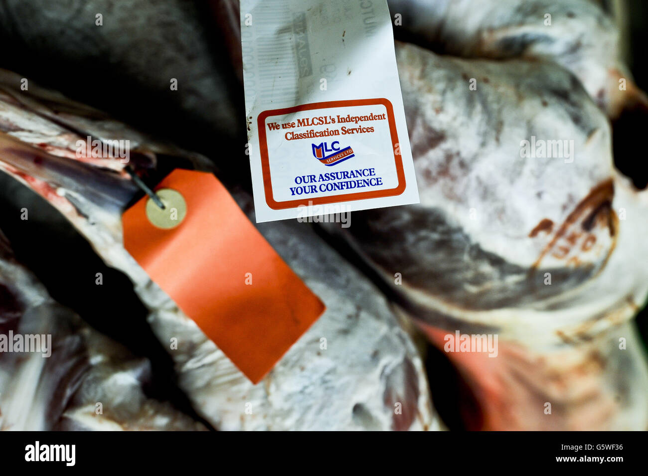 A meat identifying tag on a leg of lamb, complete with barcode, that ...
