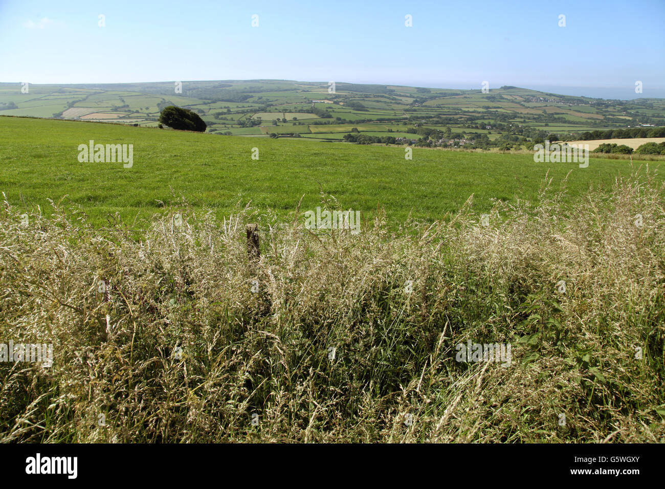 English farming landscape hi-res stock photography and images - Alamy