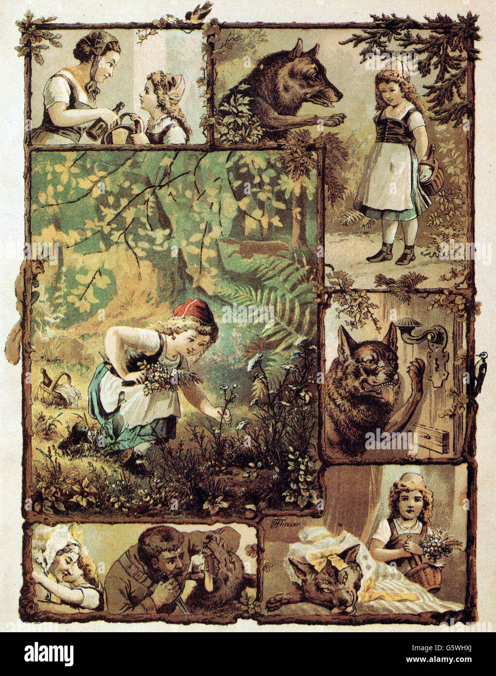 Grimm Fairy Tales Little Red Riding Hood