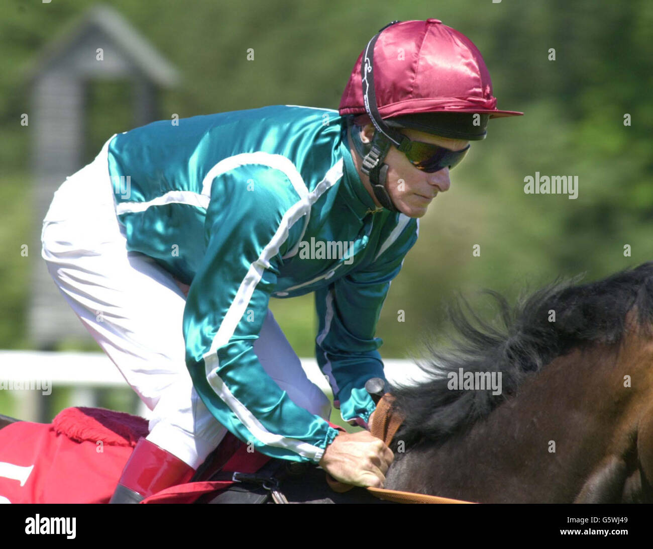 Sandy Bay. Pat Eddery who rode Sandy Bay, owned by Mrs Hue Williams and ...
