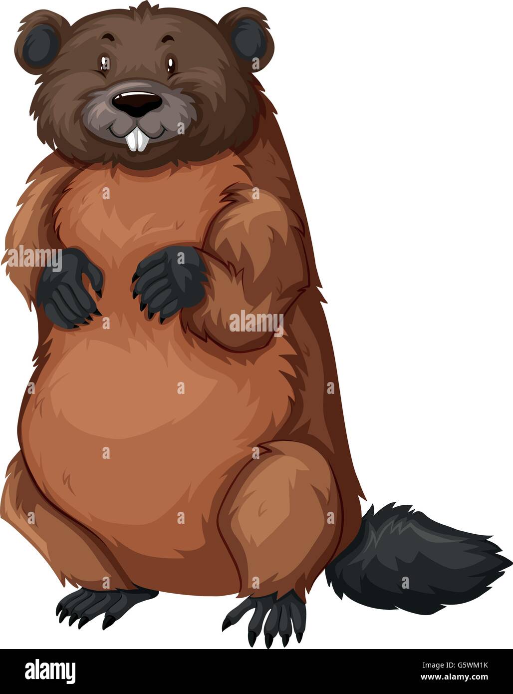 Beaver Clip Art Movement