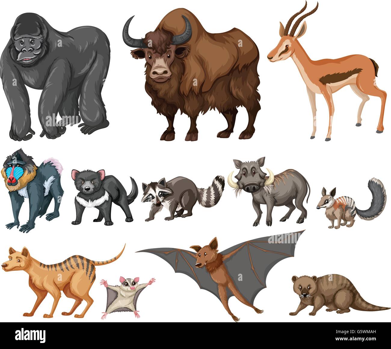 Different kind of wild animals on white illustration Stock Vector Image ...