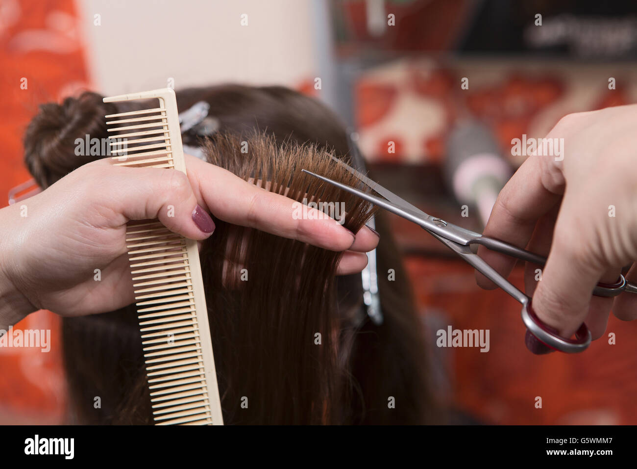 Hairdresser cutting hair Stock Photo - Alamy