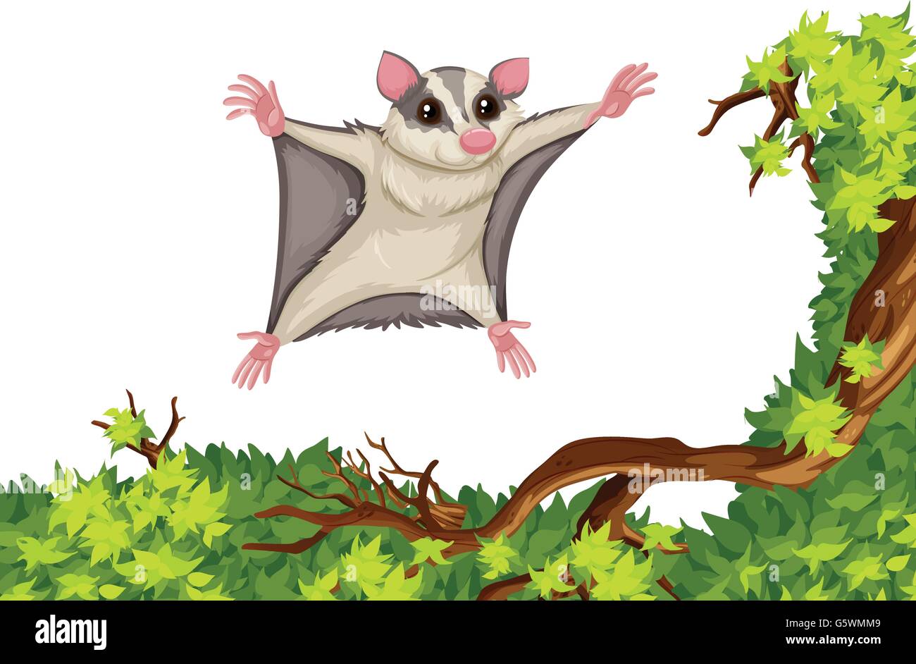 Flying squirrel flying over the tree illustration Stock Vector Image ...