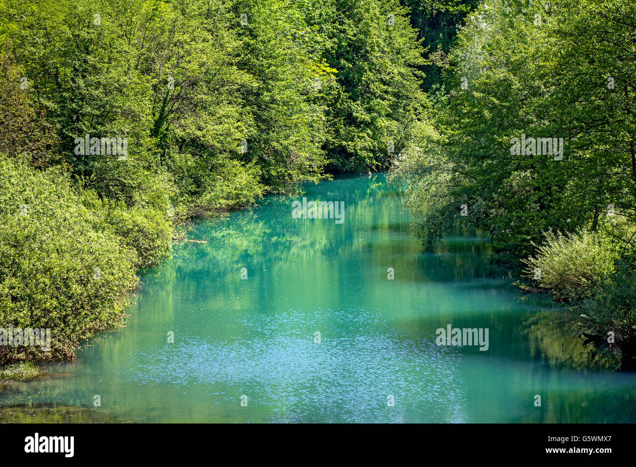 Landscape with Beautiful nature and green river Stock Photo - Alamy
