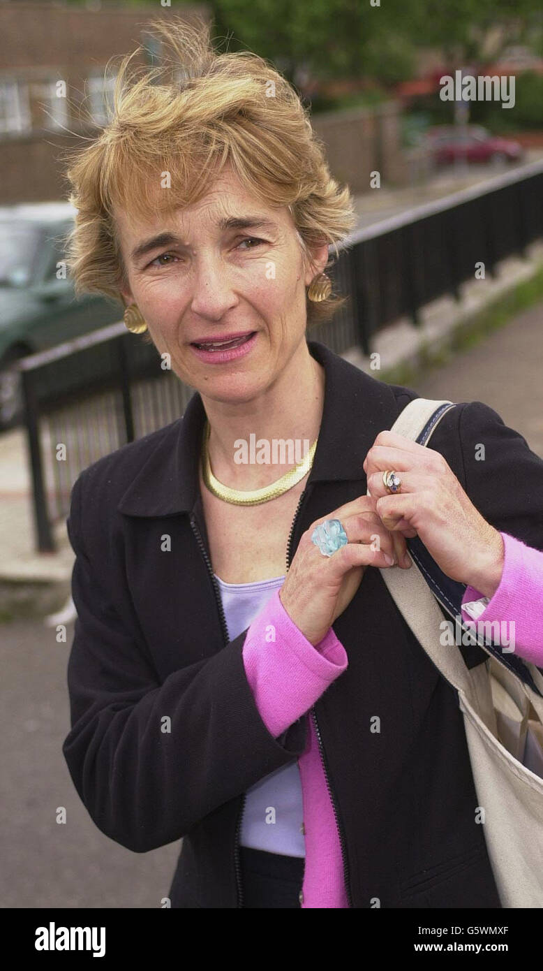 Artist Sarah Willetts Stock Photo - Alamy